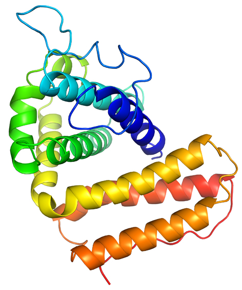 Understanding the architecture of the Plasmodium-interspersed repeat ...