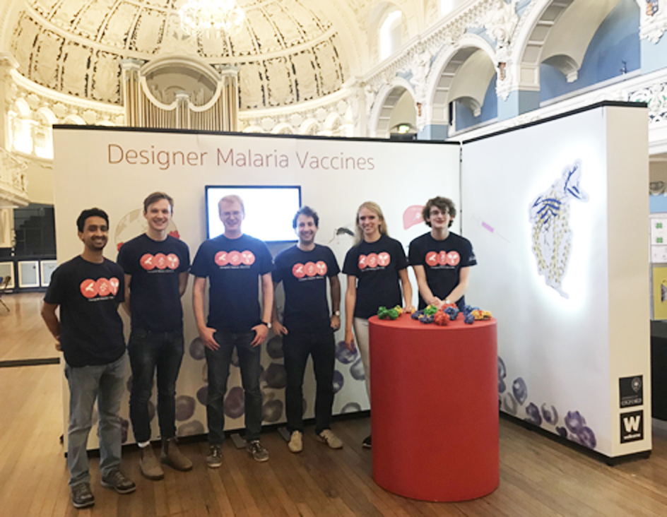 Designer Malaria vaccines at the IF science festival | Higgins Lab