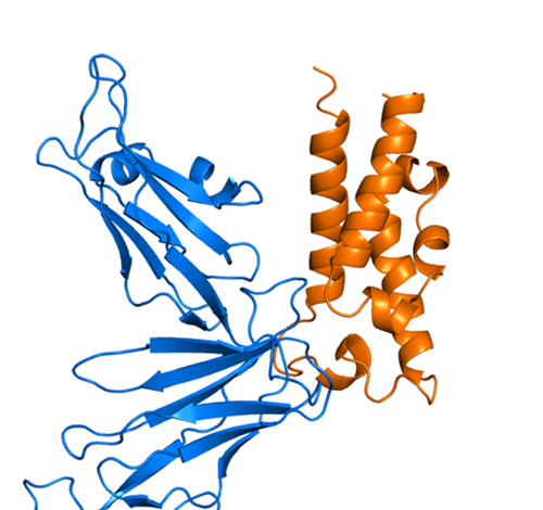 How do malaria parasites regulate the LILRB1 inhibitory immune receptor ...
