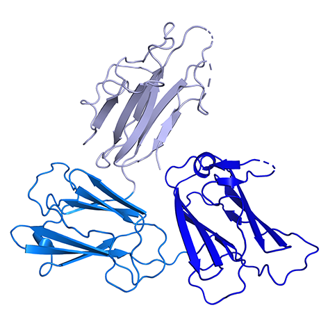 Structure of transmission-blocking malaria vaccine candidate Pfs48/45 ...