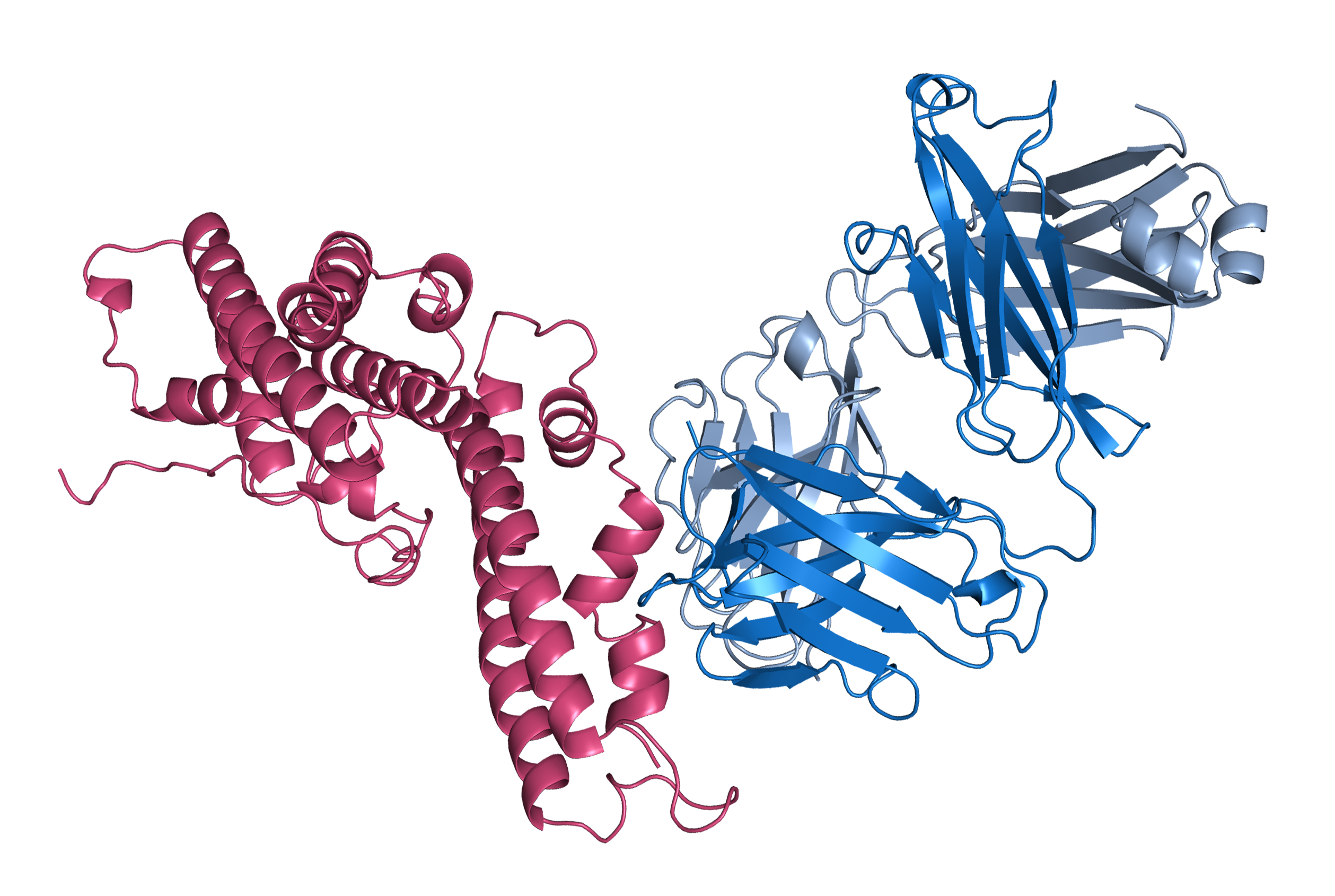A broadly neutralising PvDBP-targeting antibody to block vivax malaria ...