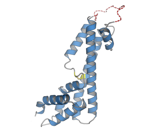 Investigating what makes an African trypanosome human infective ...